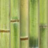 Shop Artificial Bamboo Panels & Wall Claddings| ONETHATCH