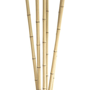 Artificial Bamboo Poles, Synthetic Bamboo Sticks | ONETHATCH