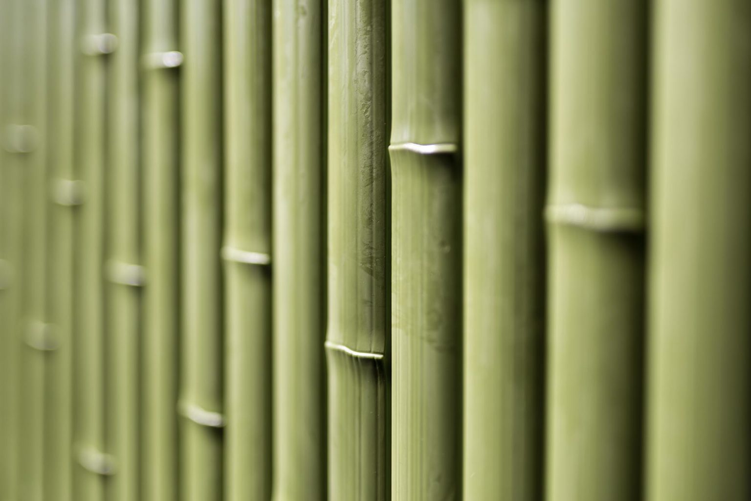 Renovate Your Backyard or Garden with OneThatch Bamboo Slat Panels