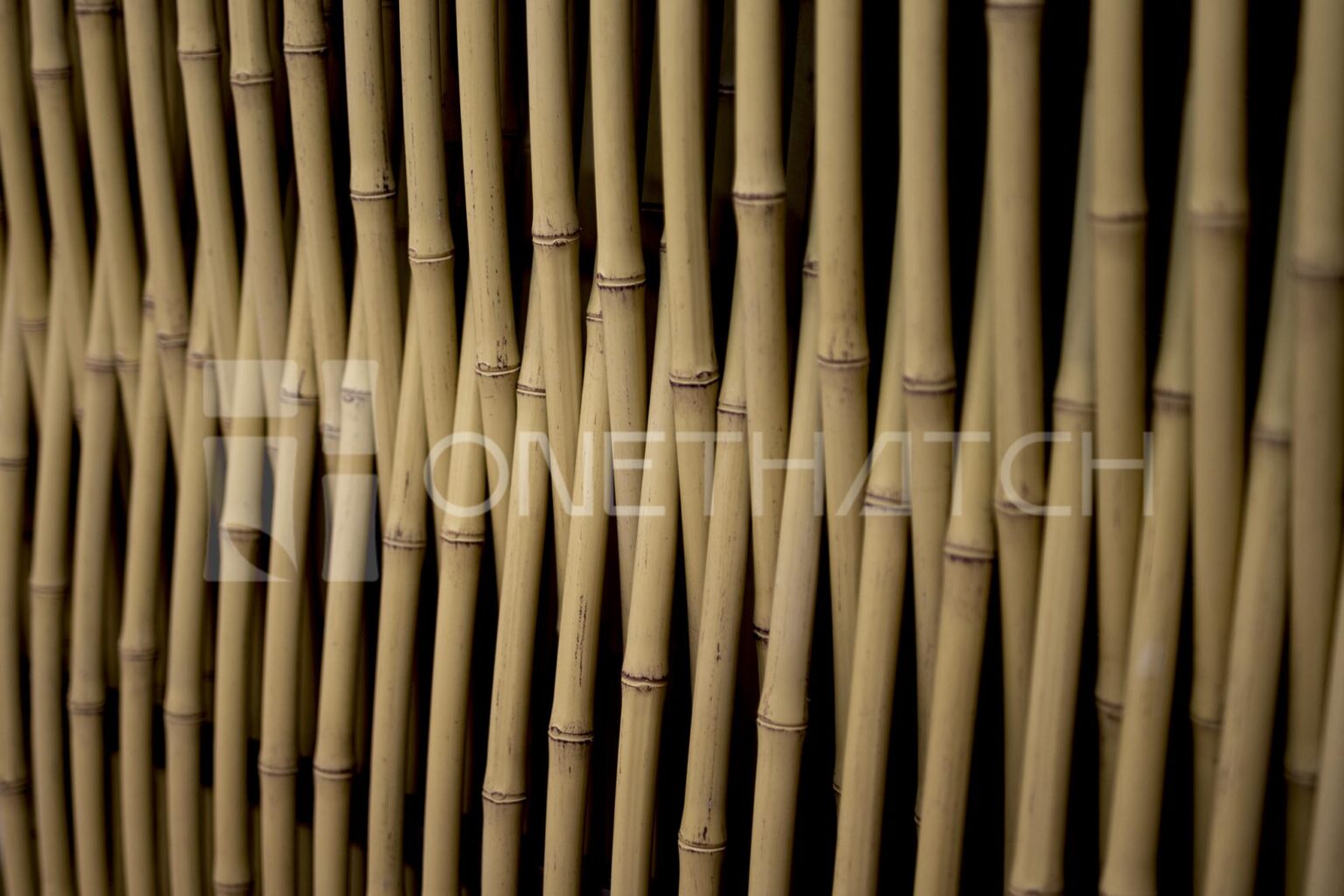 Bamboo Fencing Panels, Bamboo Privacy Screens | ONETHATCH